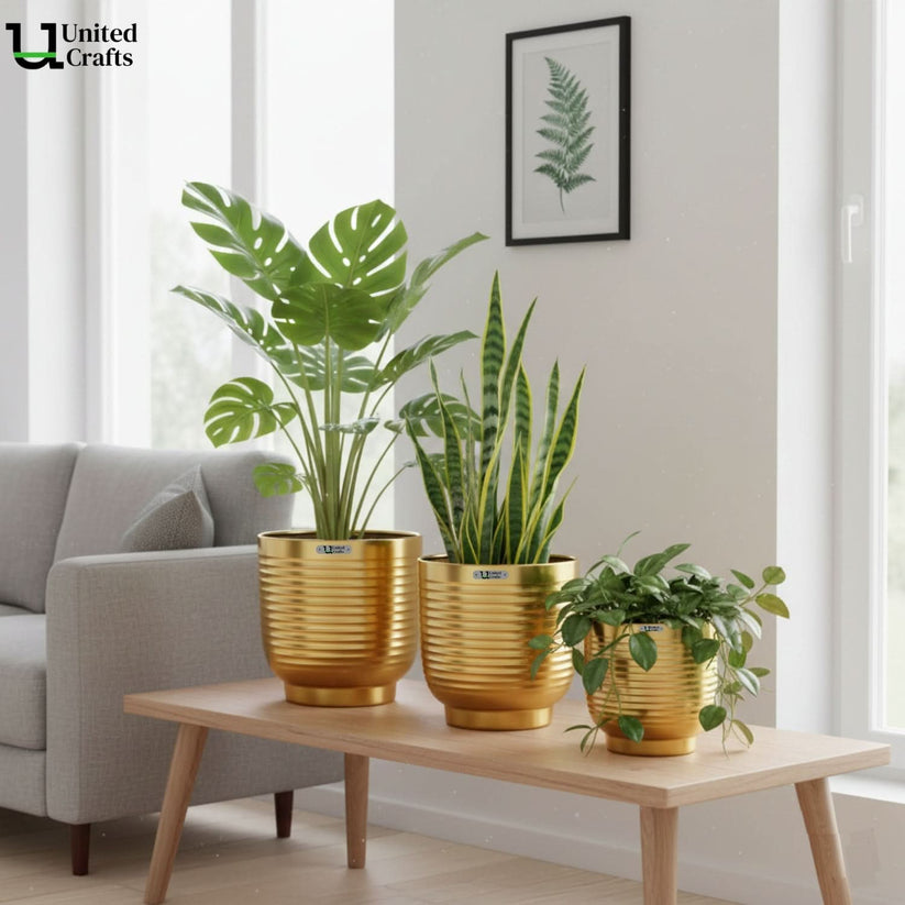 Rings Planter – Unique Rings Design Pot for Indoor & Outdoor Plants ...